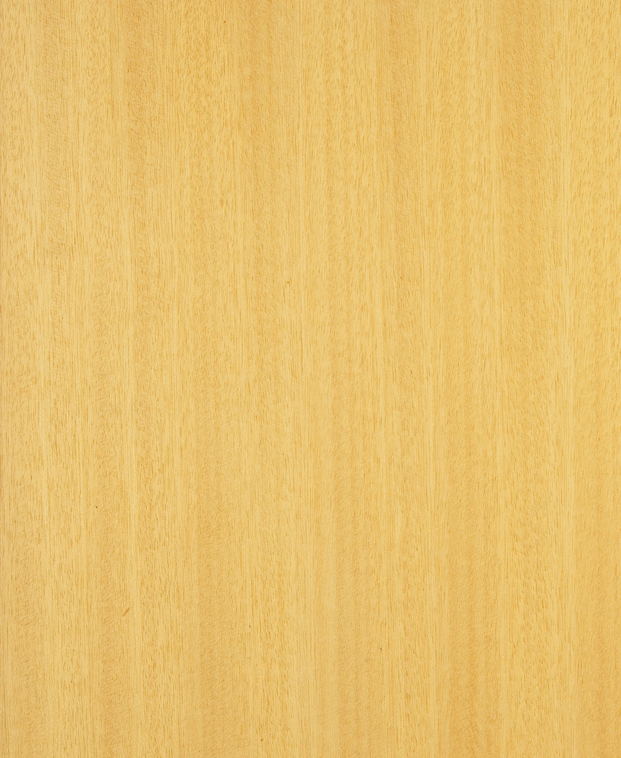 Pine Cembra | Decospan
