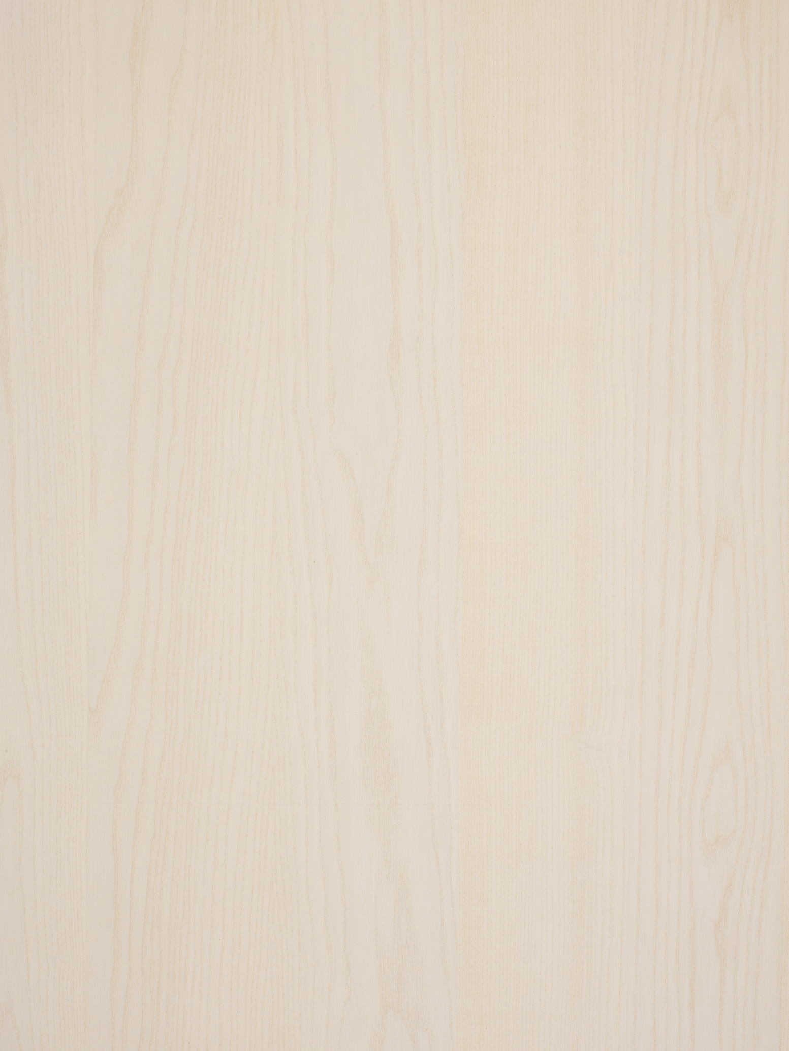 Chalk Ash | Shinnoki