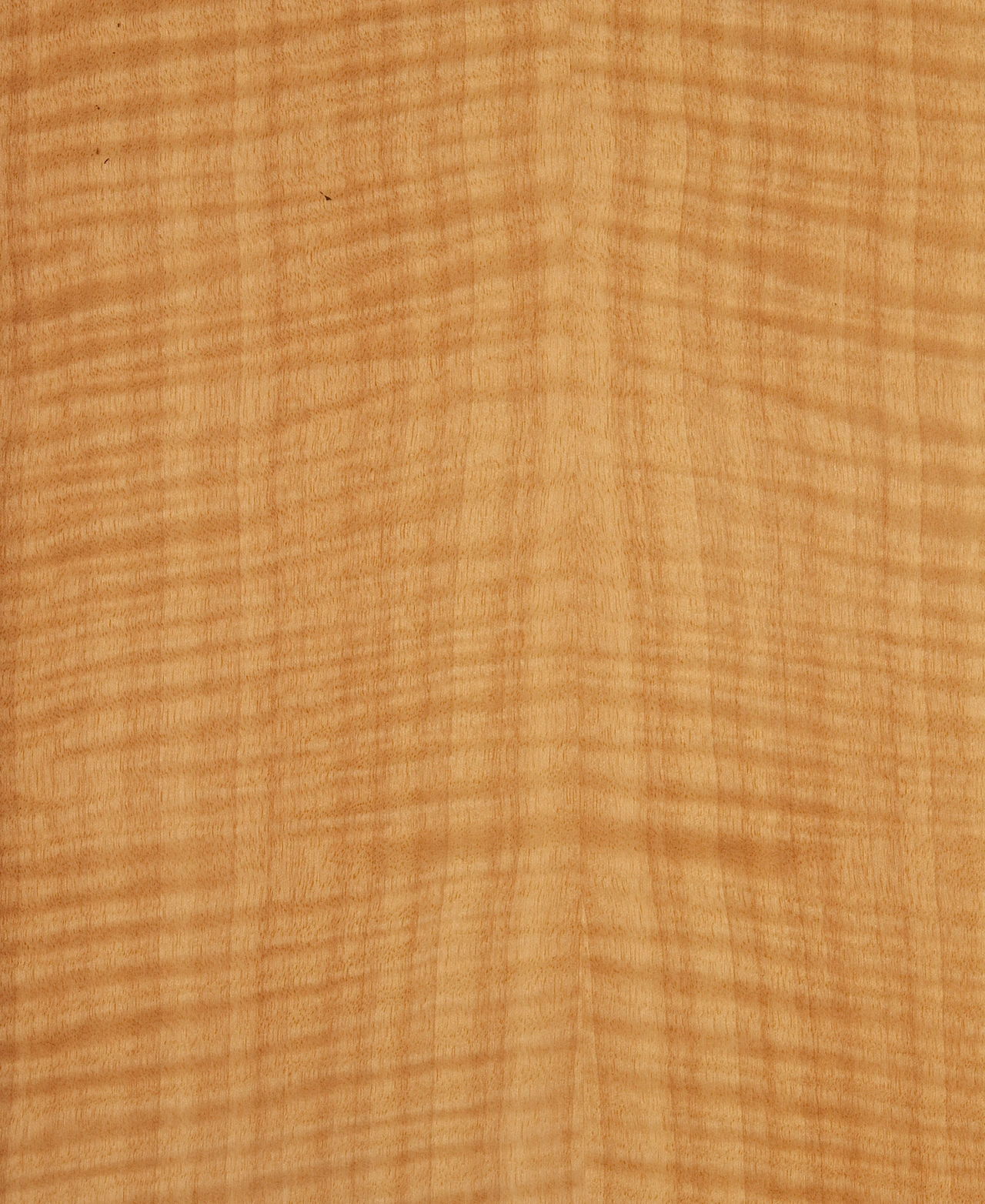 Walnut Italian | Decospan